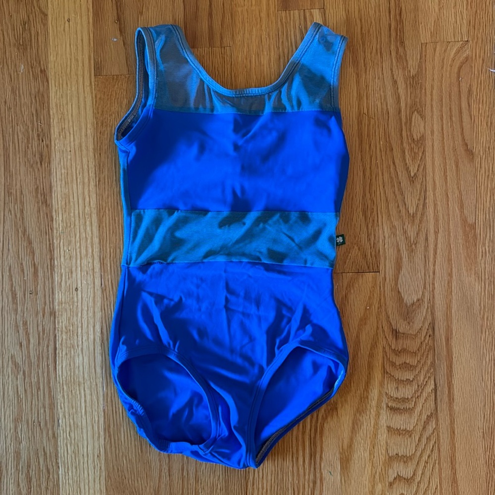 Lucky Leo Mesh Spice Leotard In Blue - Gem